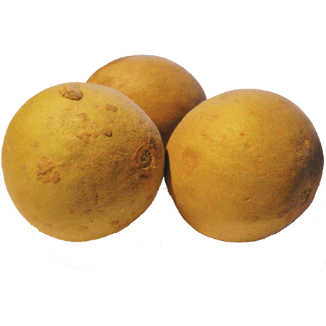 Chiku - ABNN Fresh Expo